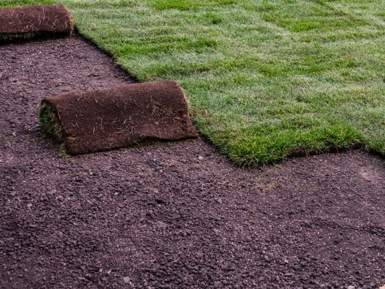 Sod Laying Instructions - How To Lay Sod & Care For New Sod | Gardening ...