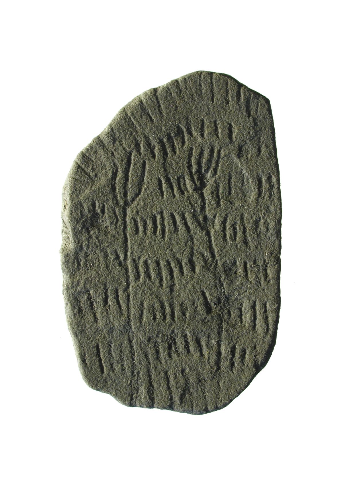 Photos: 5,000-Year-Old Scratched Stones Could Be Ancient Maps | Live ...