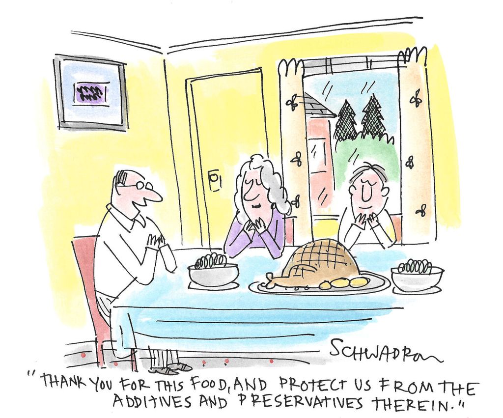 Political cartoons for November 27 | The Week