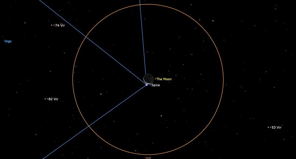 The moon eclipses bright blue star Spica early on Nov. 27. Here's how ...