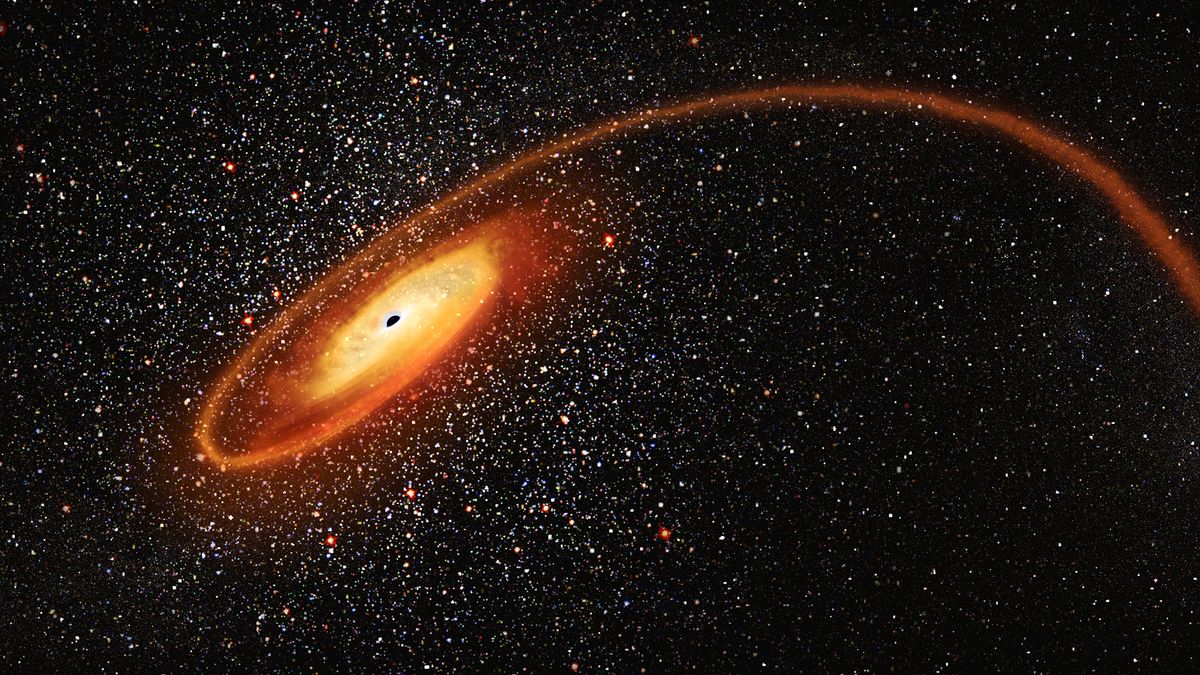 Hubble's best evidence yet for 'missing link' of black holes may solve ...