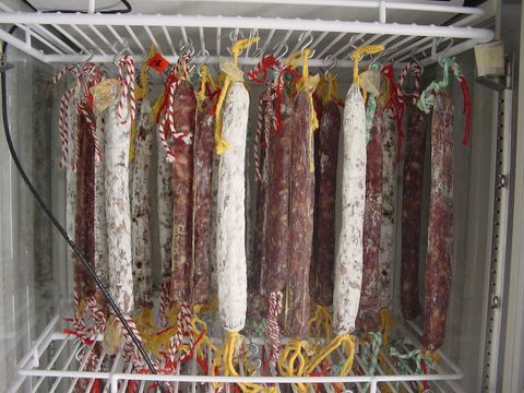Pooperoni? Baby-Poop Bacteria Help Make Healthy Sausages | Live Science