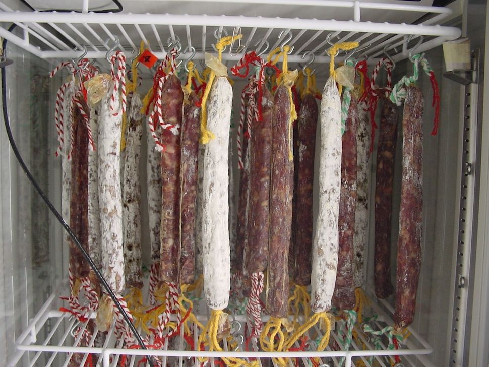 11 Surprising Uses For Pee and Poop | Live Science