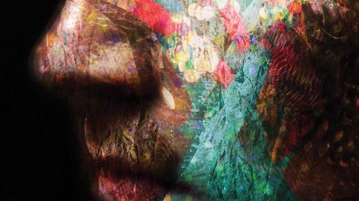 Daniel O'Sullivan - Veld album review | Louder