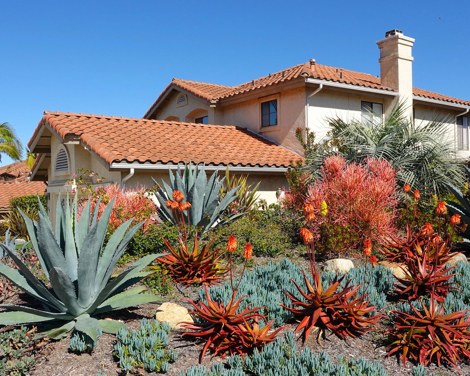 Desert landscaping ideas: 8 ways to create a verdant oasis | Gardeningetc