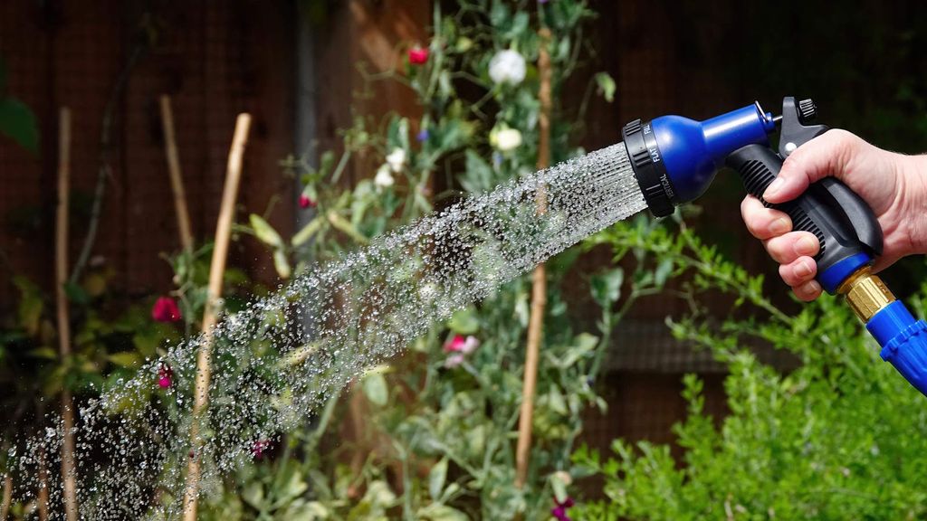 Deep watering: how to have strong, healthy plants | Homes and Gardens