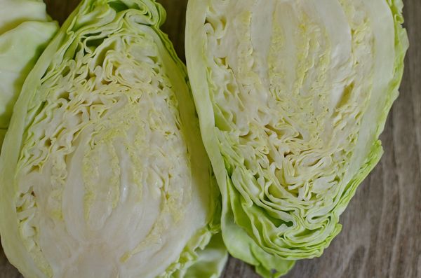 Tips & Information about Cabbage | Gardening Know How