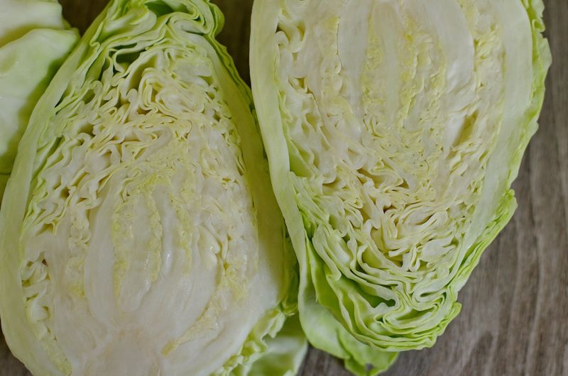 Tips & Information about Cabbage | Gardening Know How