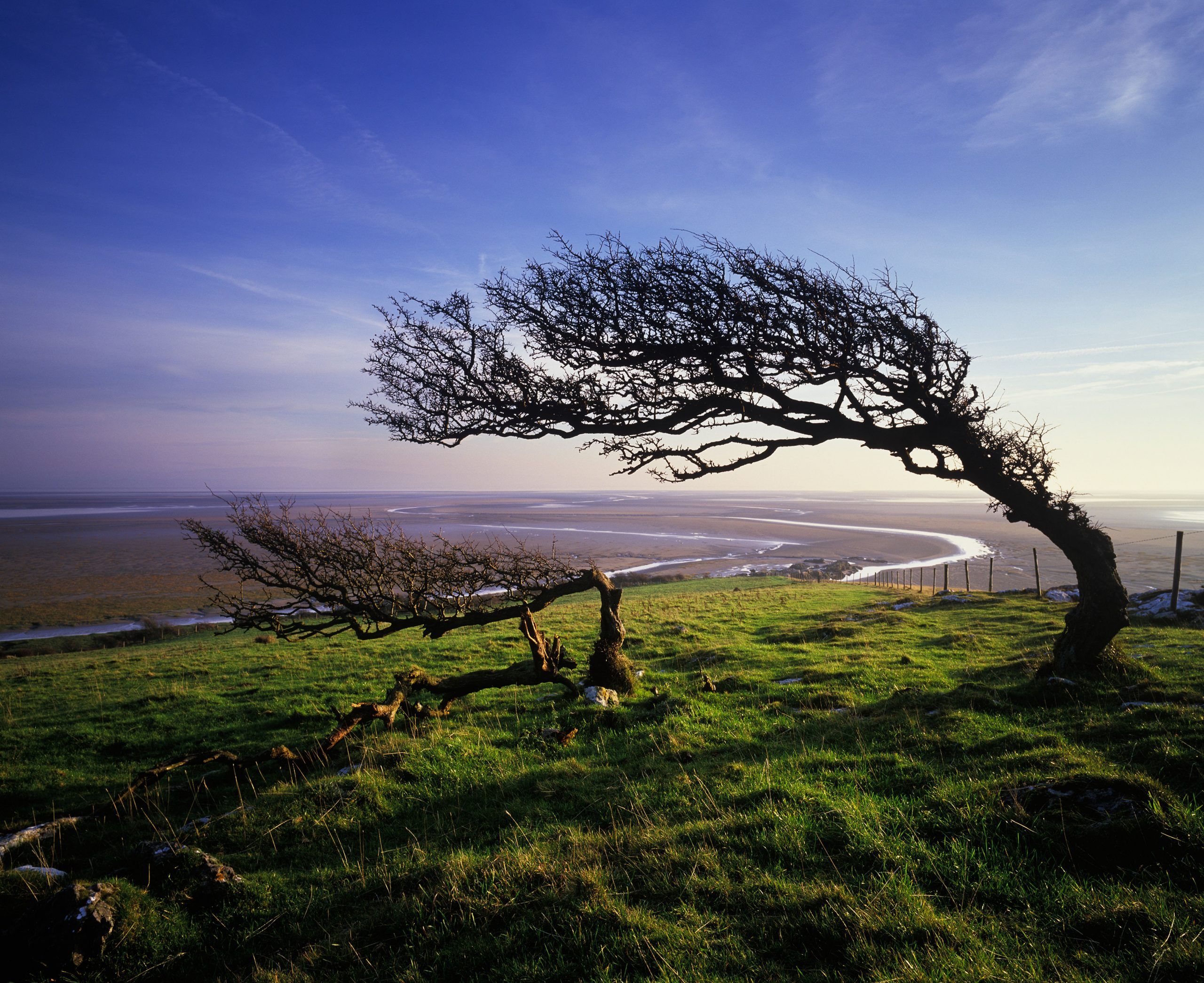 How the wind has shaped Britain | Country Life