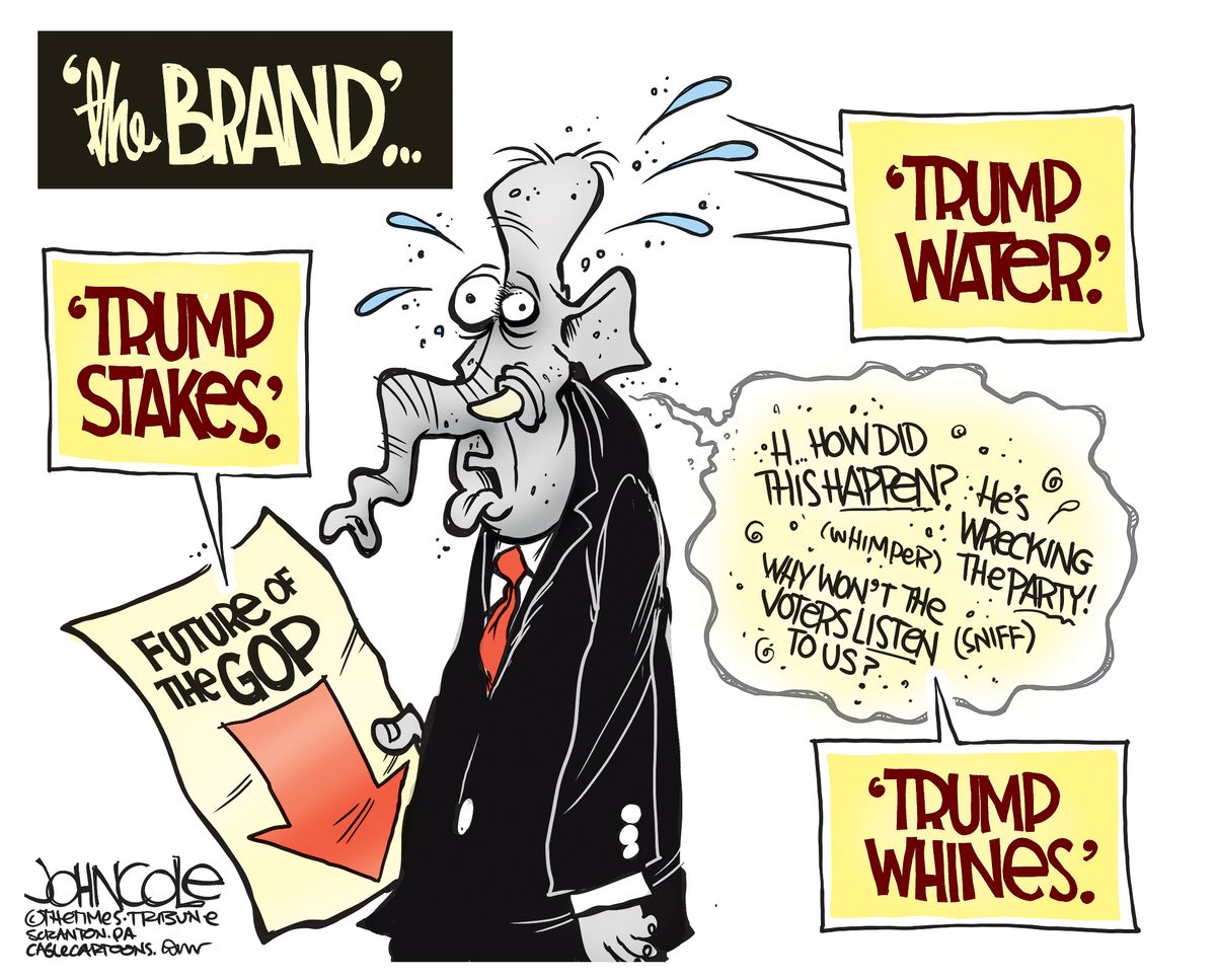 Political Cartoon U.S. Trump Brand | The Week