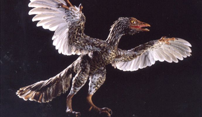 The 10 most incredible scientific hoaxes of all time | The Week