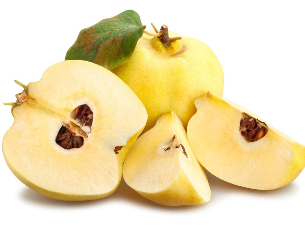 Propagating Quince Trees - Learn About Methods Of Quince Tree ...