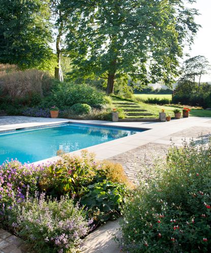 Why do algae grow in pools? Here are the problems to avoid | Homes and ...