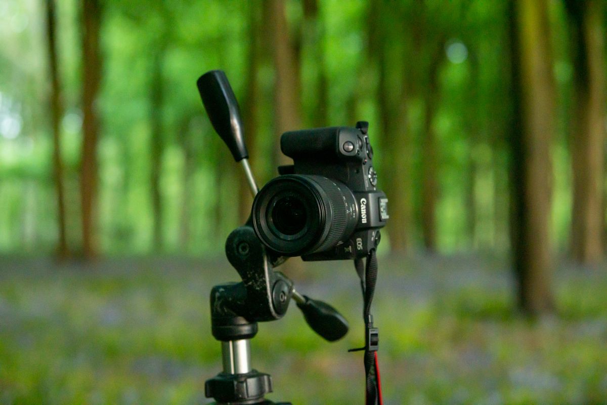 Want a wall-length panorama? Here's how to create jaw-dropping giant ...