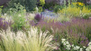 Best miscanthus varieties: 15 of the top ornamental grasses | Homes and ...