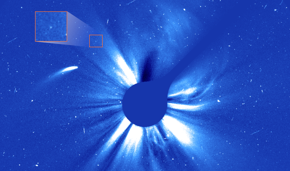 Massive comet hurtling past the sun is chasing its tail | Space