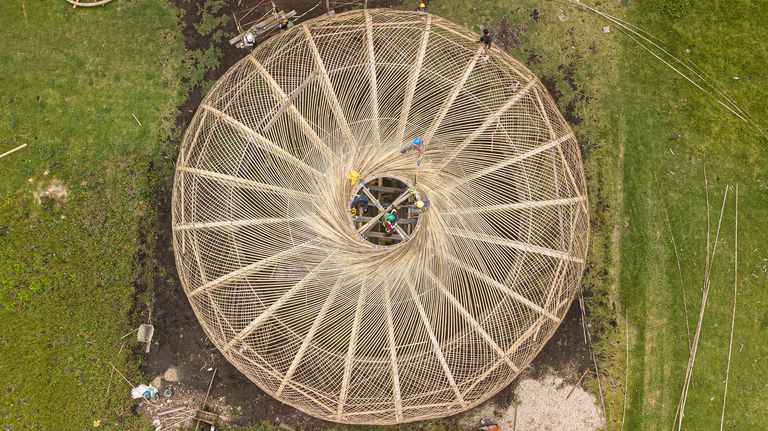 Organizmo paves a new wave of community projects and sustainable design ...