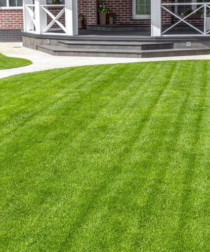 When to apply lawn sand - expert tips for the best timing | Homes and ...