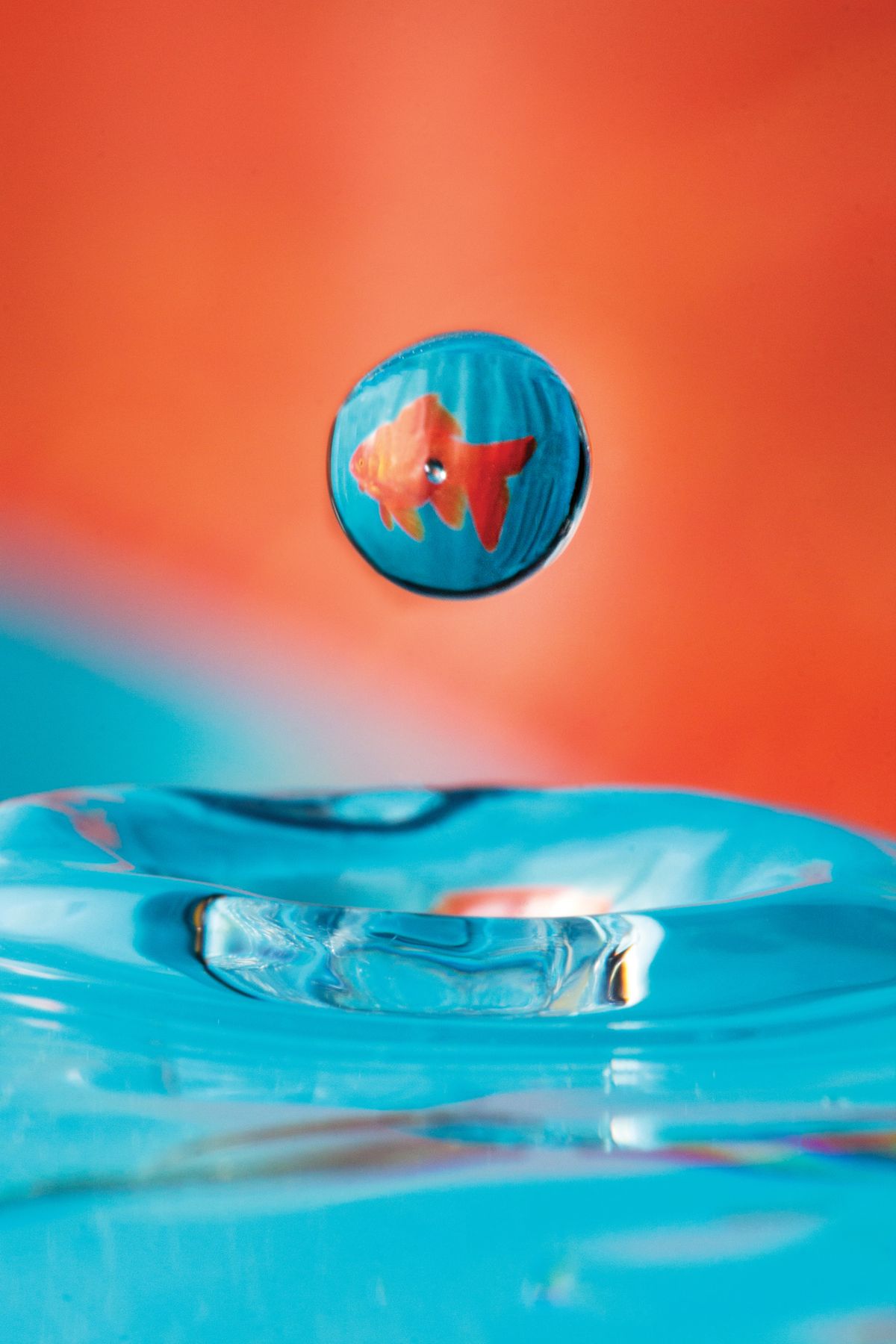 Home photography ideas: Take trick shots using water drops! | Digital ...