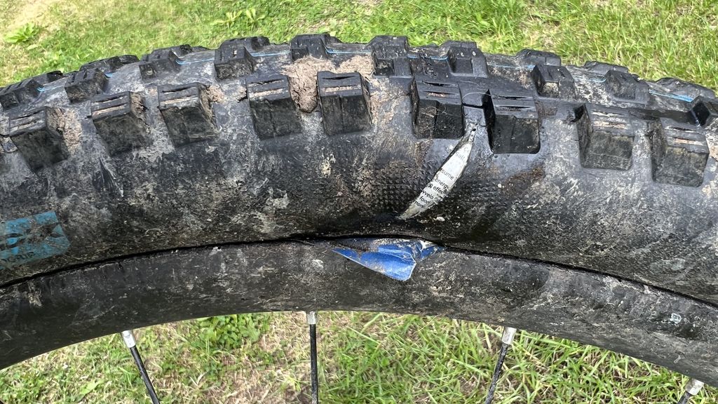 Schwalbe Wicked Will tire review –go faster Goldilocks rubber? | Bike ...