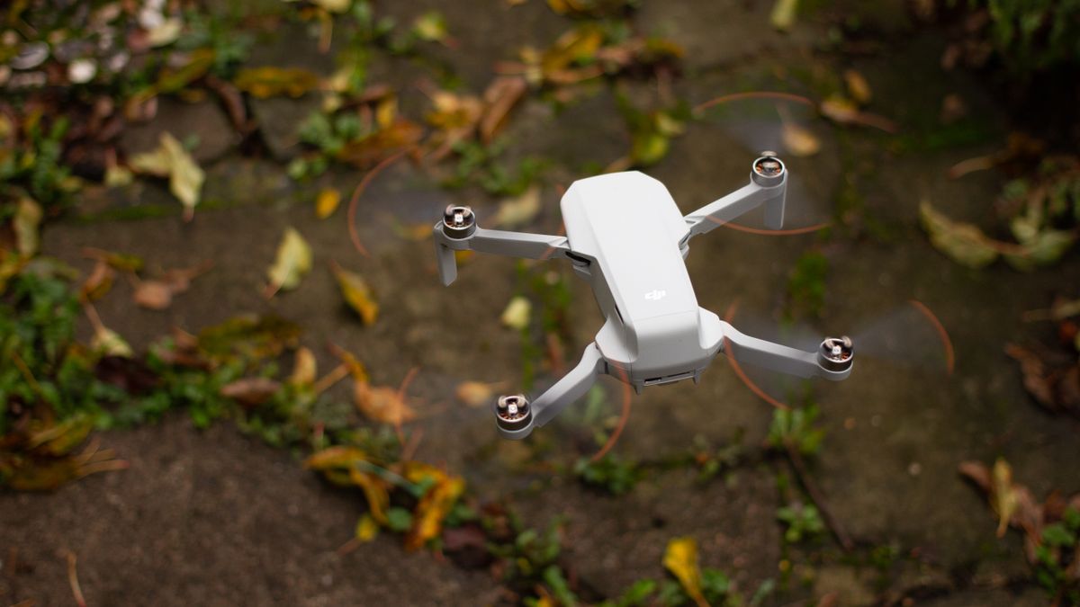DJI Mini 2 review: flying start | TechRadar