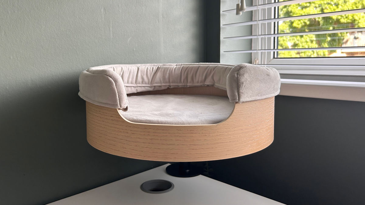 WFH desk bed for cats now $20 off for Amazon Prime Day 2025 | PetsRadar