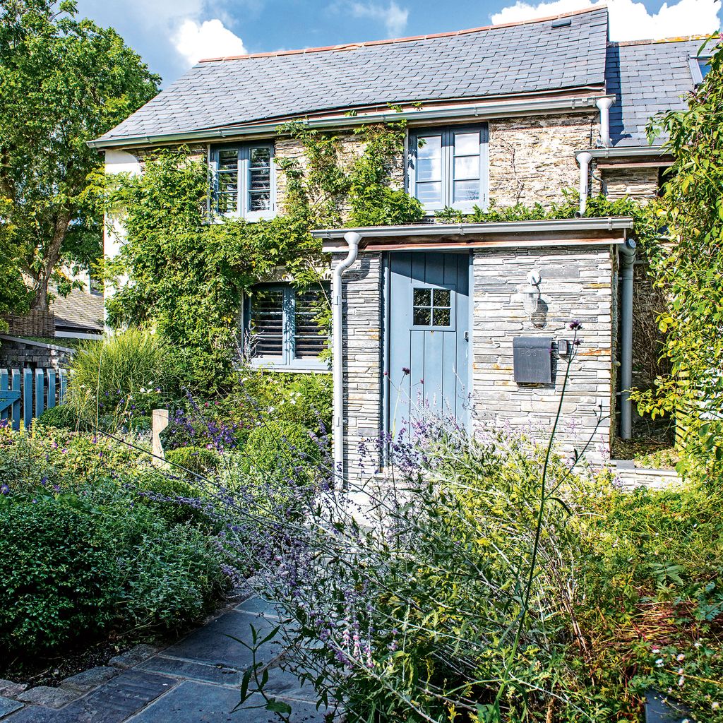 Can bio-washing powder kill weeds? Experts share a warning | Ideal Home