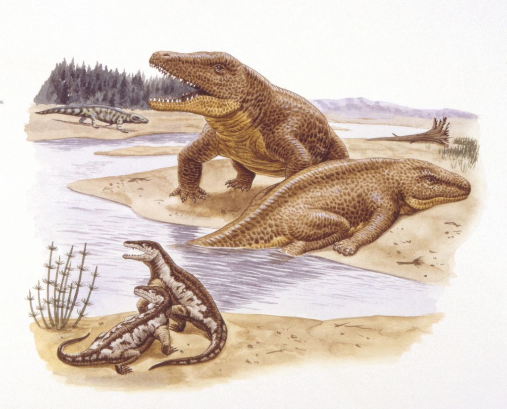 The 5 mass extinction events that shaped the history of Earth — and the ...