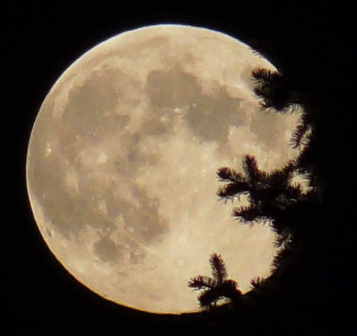 Blue Moon Photos: August Full Moon of 2013 in Pictures | Space