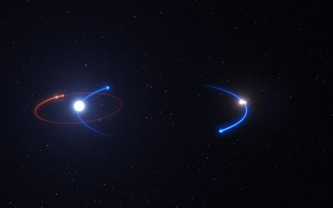 Three's Company: Newly Discovered Planet Orbits a Trio of Stars | Space
