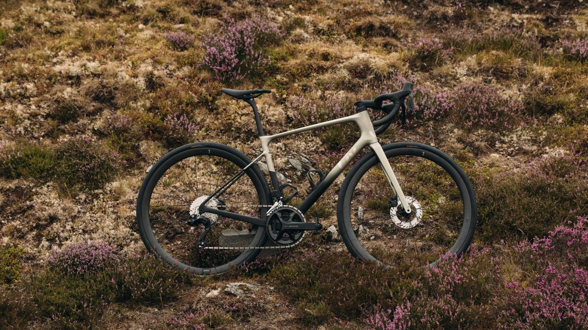 The updated Liv Avail is ‘built for endurance’ | Cycling Weekly