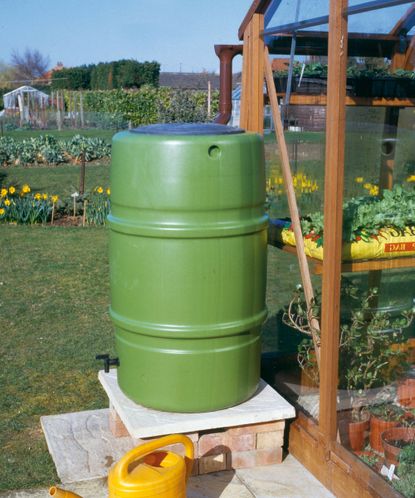 How to collect rainwater: 5 ways to save and re-use rainfall | Gardeningetc