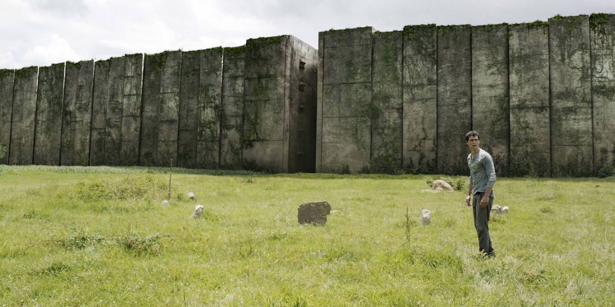 Why We Didn't See More Maze Runner Movies | Cinemablend