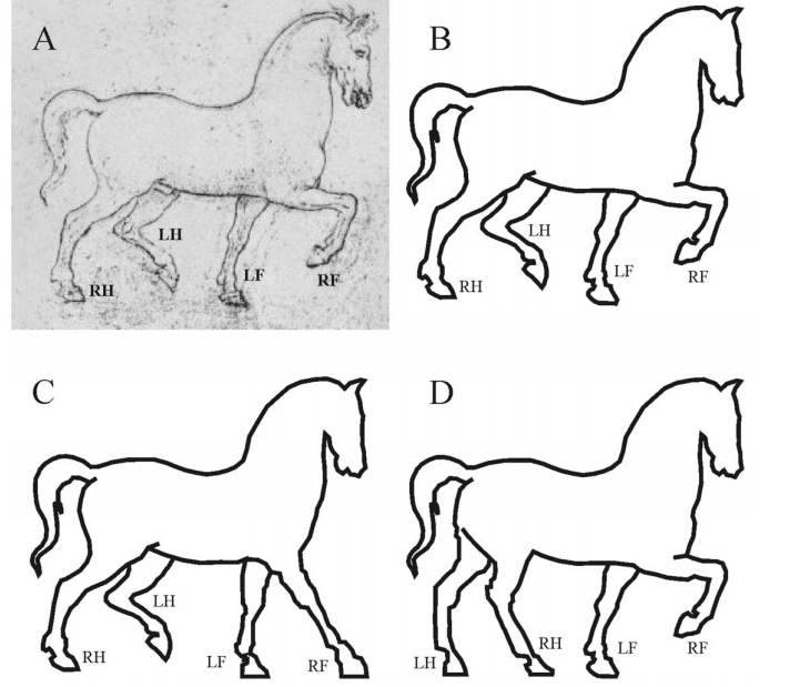 Cavemen Trump Modern Artists' at Drawing Animals | Live Science