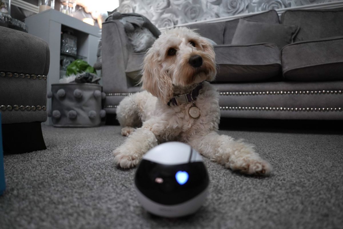 Enabot EBO Air review: An adorable robot pet camera | Digital Camera World
