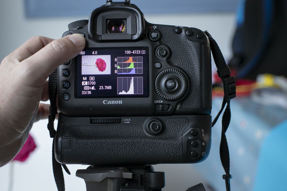 RGB histogram pro tips | Digital Camera World