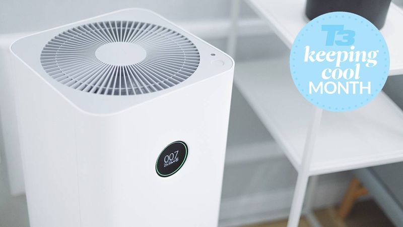 How to clean a fan: a step-by-step guide | T3