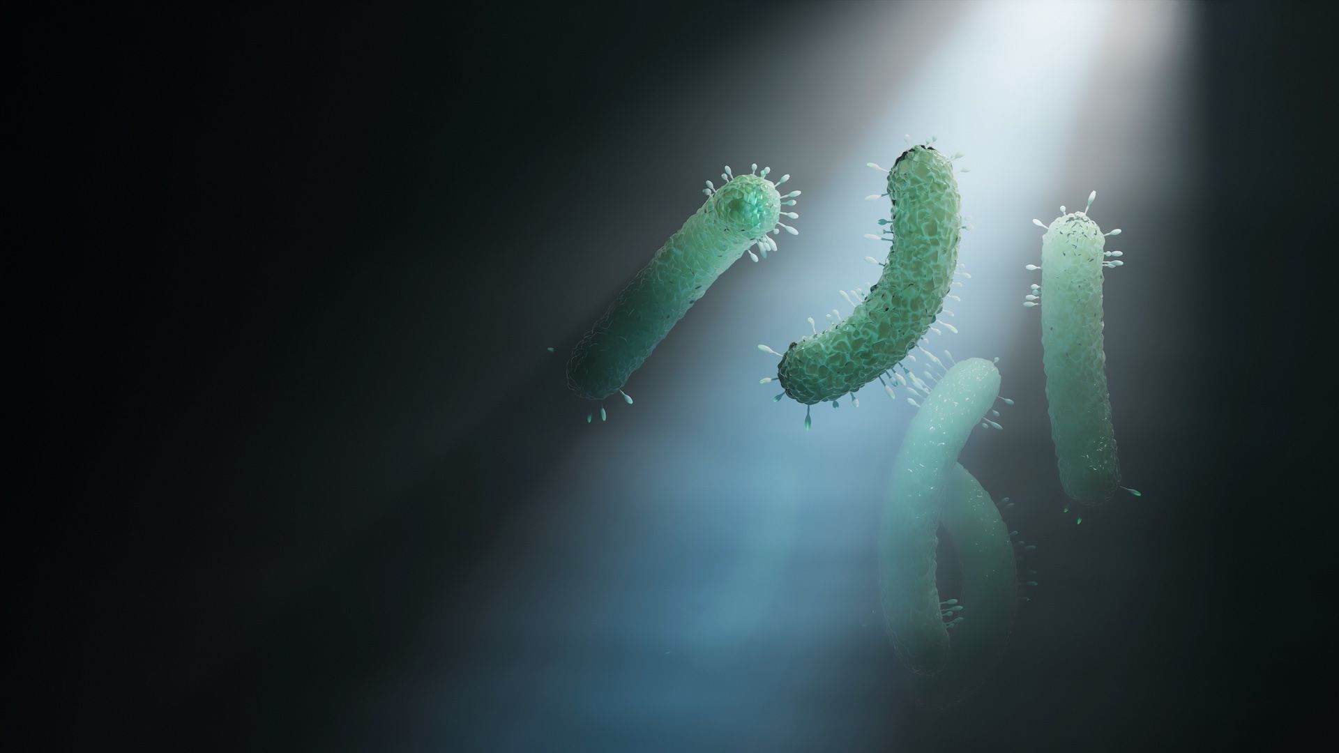 AI could identify the next superbug-fighting drug | Live Science