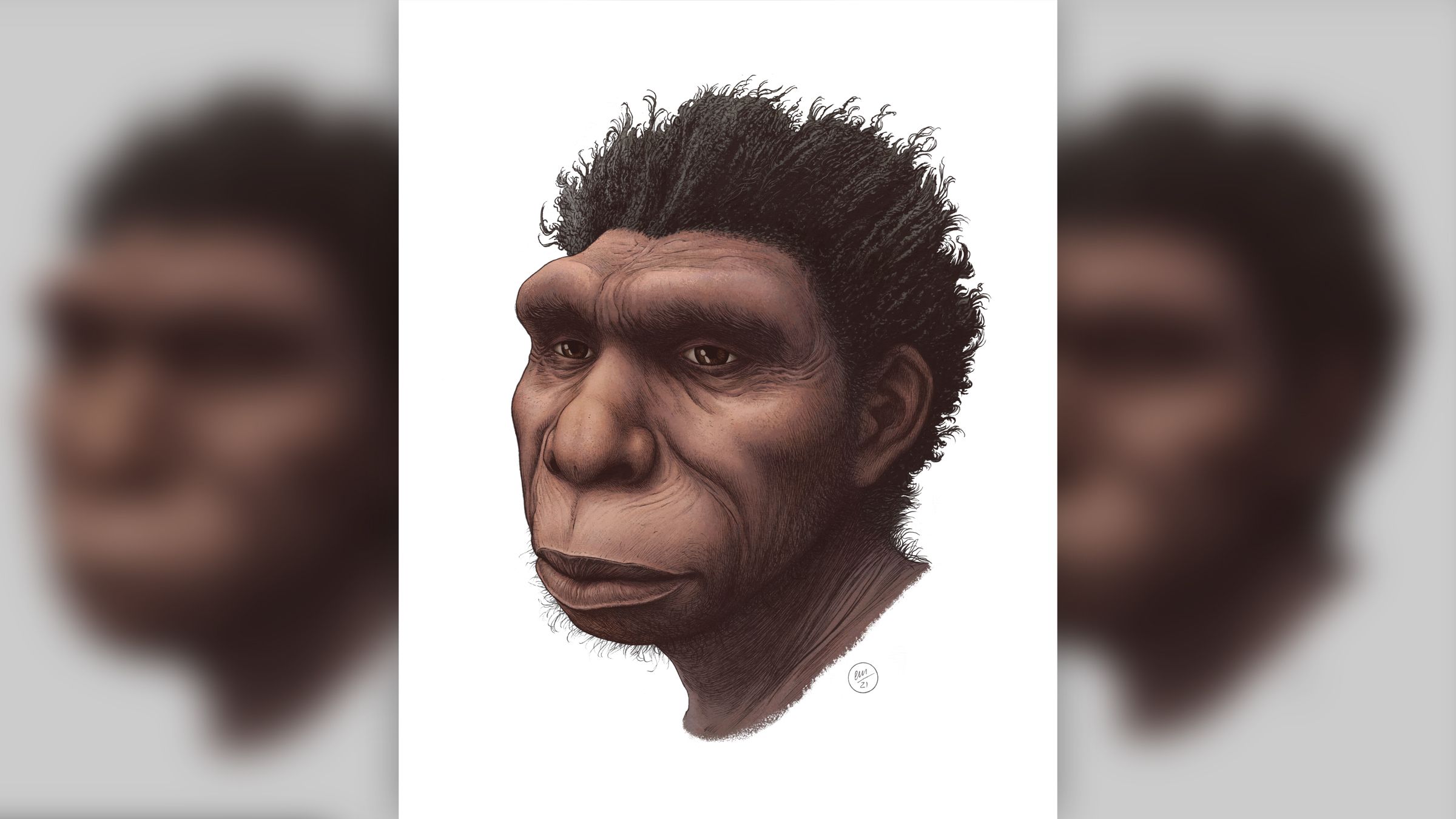 Newly named human species may be the direct ancestor of modern humans ...