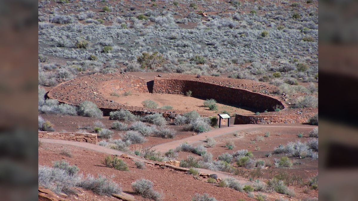 Hundreds of three-eyed 'dinosaur shrimp' emerge after Arizona monsoon ...