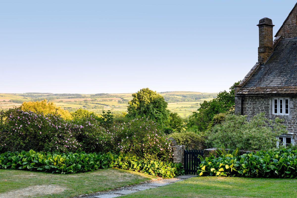Chilcombe House: the garden that's become a 'pilgrimage' and a 'living ...