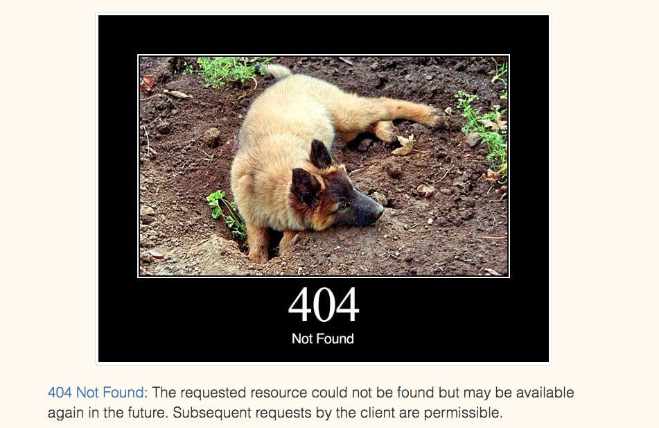 Dogs explain the mysteries of HTTP status codes | Creative Bloq