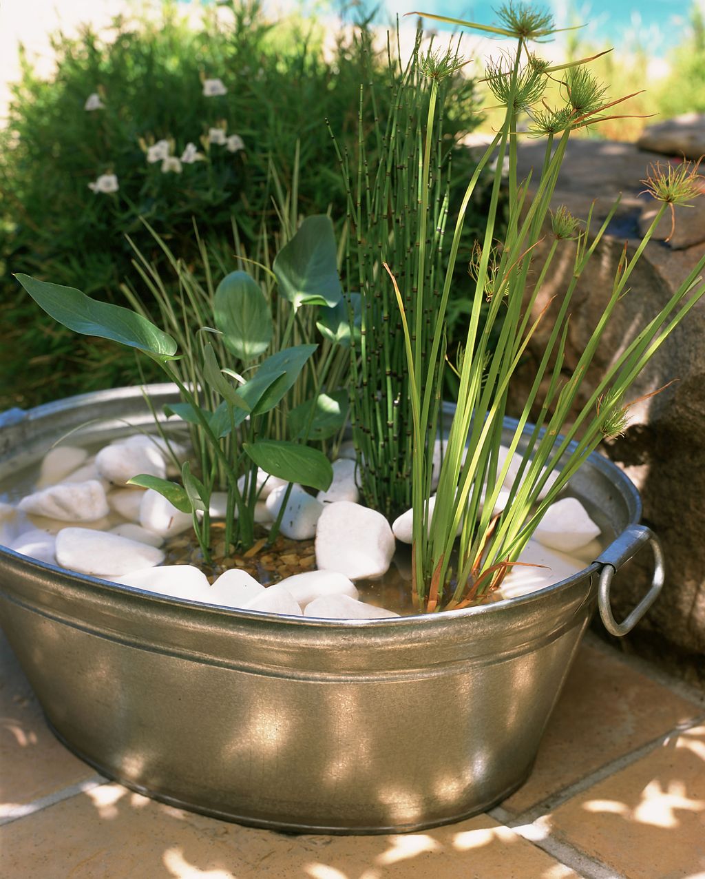 Small garden pond ideas: 12 petite ponds for little backyards ...