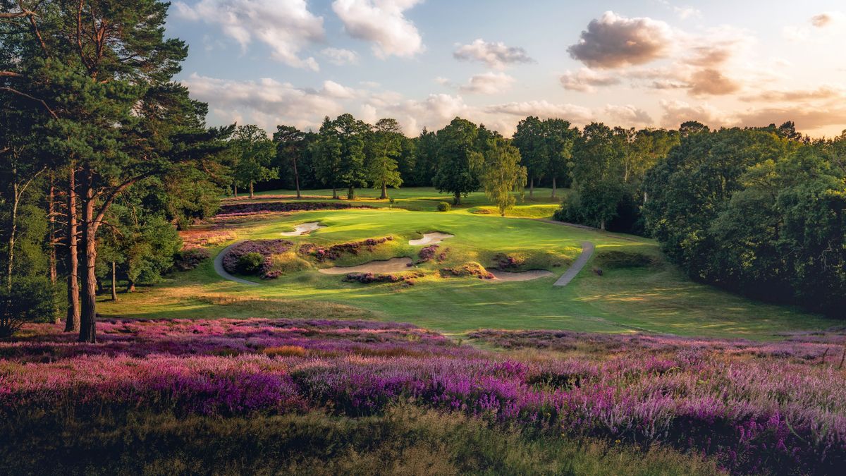 St George’s Hill Golf Club: Red & Blue Course Review, Green Fees, Tee ...