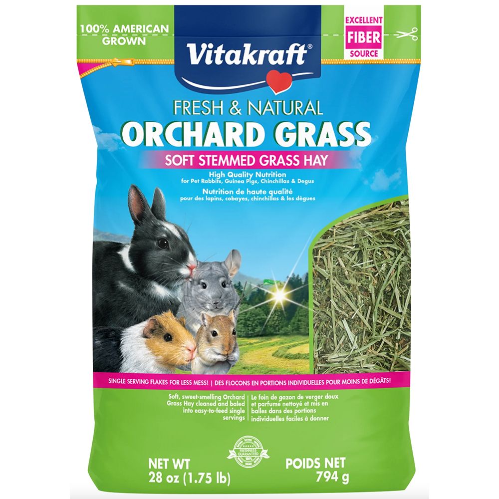 Best hay for rabbits 2026 that your bunny will love to eat | PetsRadar
