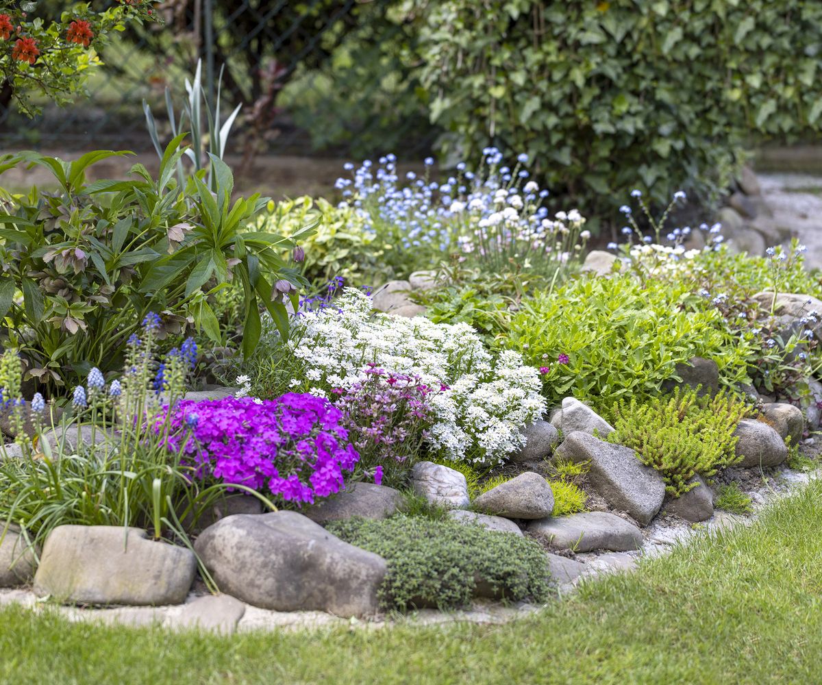 How to build a rockery in your garden | Homebuilding