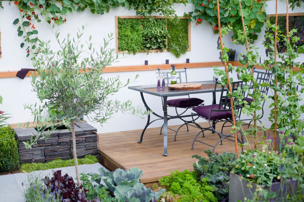 5 Ways You Can Grow A Kitchen Garden — This is An Expert Guide to ...