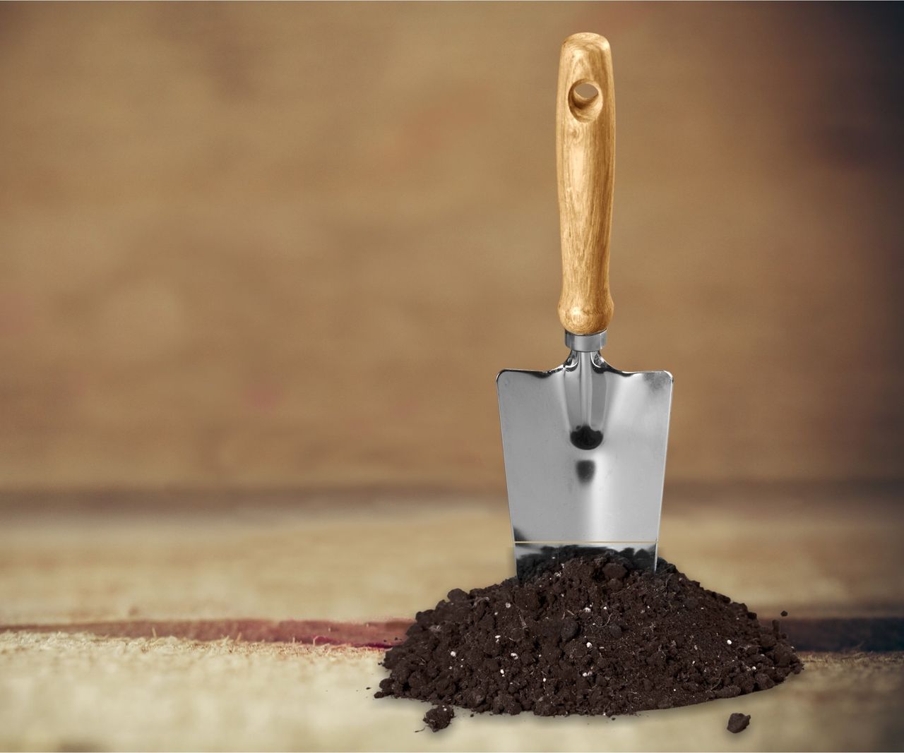 Gardening Tools Every Home Grower Needs – Our Top 10 Picks | Gardening ...
