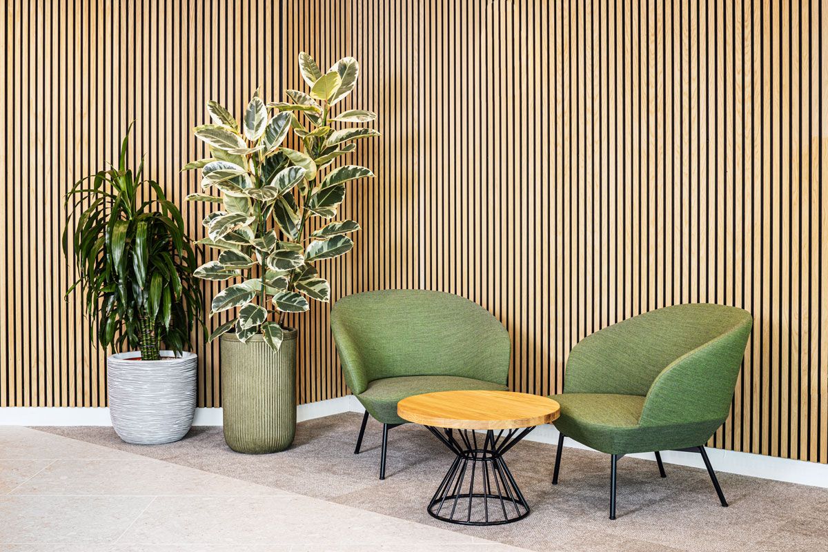 What is Biophilic design, and why is it taking over the workplace ...