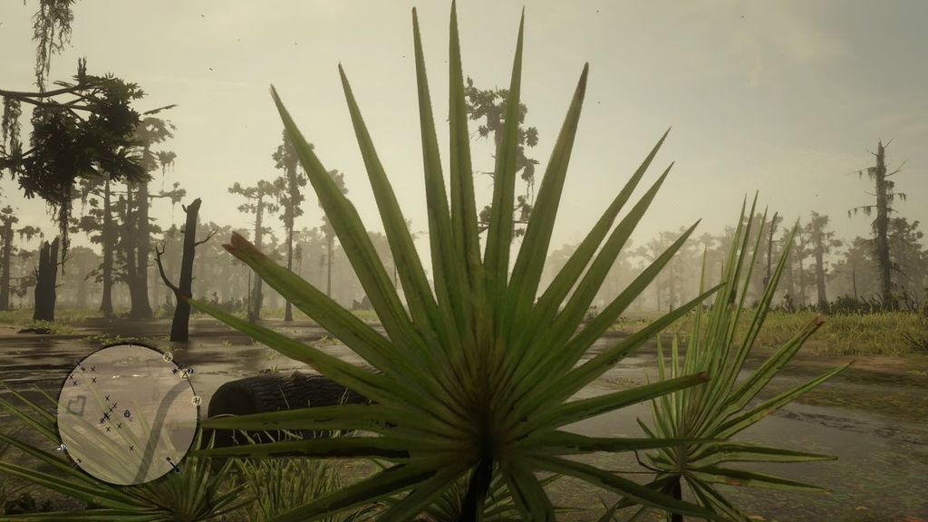 I can't stop looking at plants in Red Dead Redemption 2 | The Week